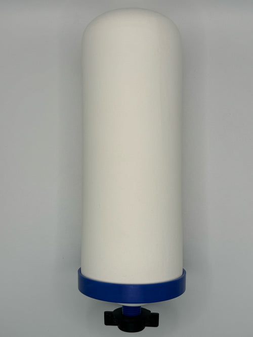 Roots & Refuge – Roots & Refuge